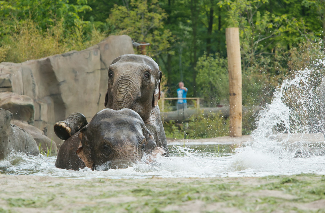 Zoo & Tierparks - Münster geht aus